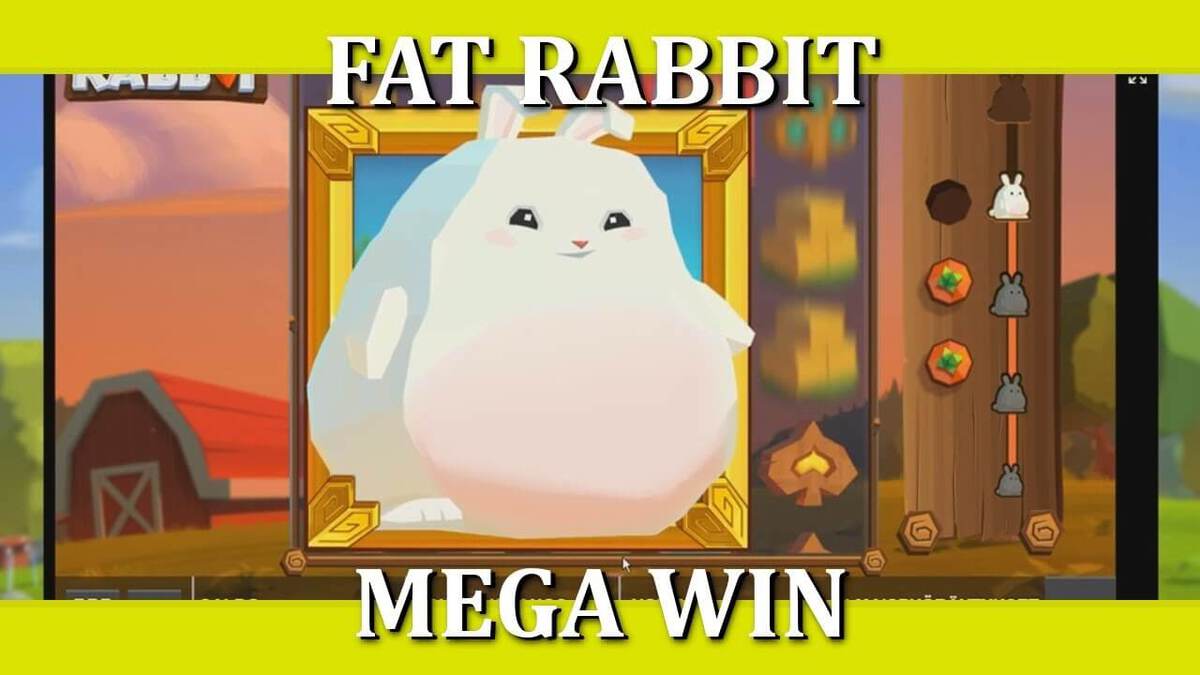Fat Rabbit | Slot recension | Slotsgurus